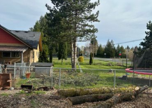 Home - Portland Tree Services